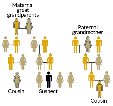 Crime solvers embraced genetic genealogy