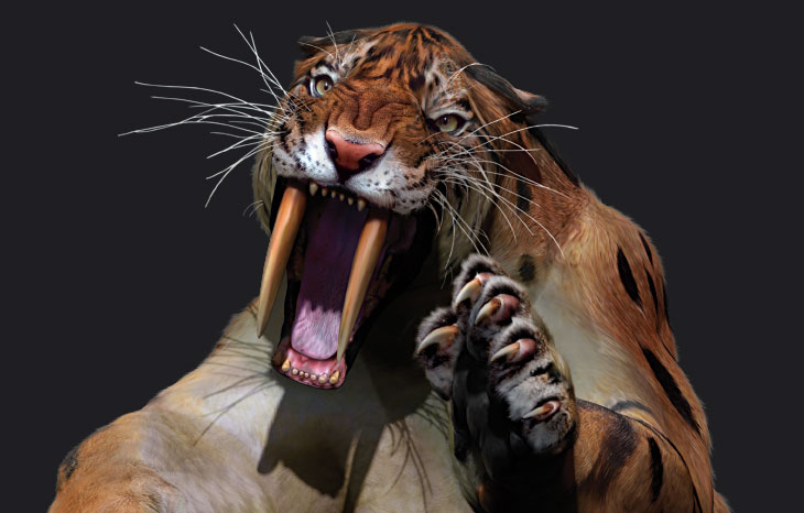 Saber-toothed cats were fierce and family-oriented