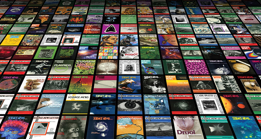 Transparency Project Blog - Archive | Science News