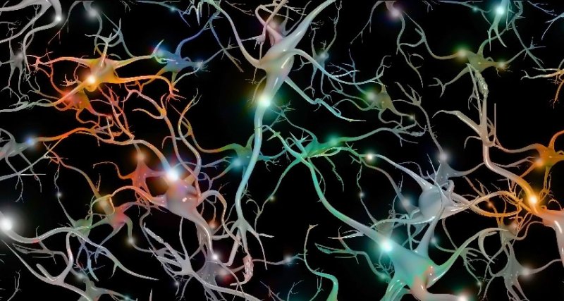 An AI designed art that controlled monkeys’ brain cells | Science News