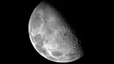 How the moon’s light affects animals | Science News
