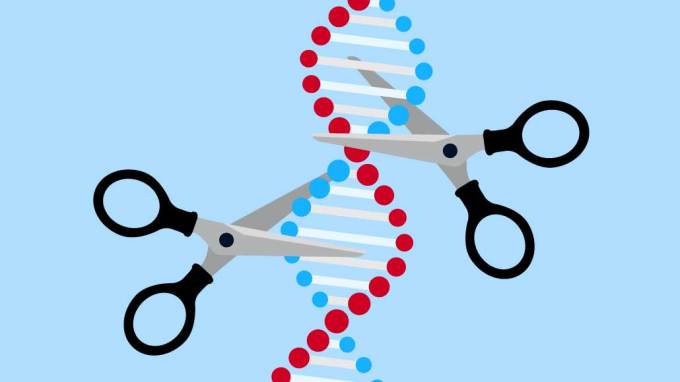 Gene-editing tool CRISPR wins the chemistry Nobel