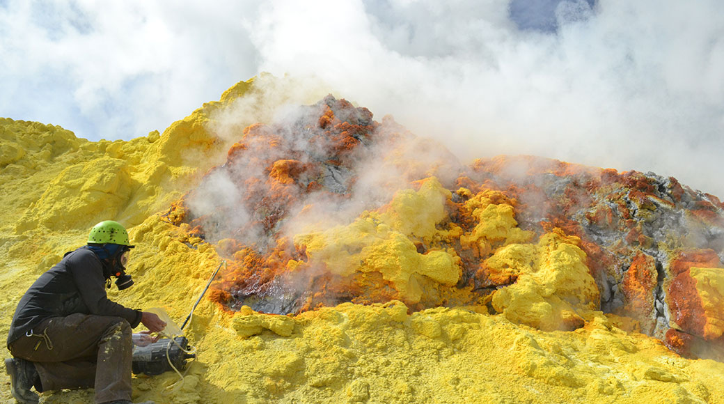 Here’s where Earth stores its carbon