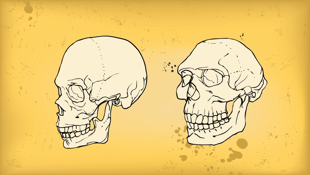 A gene tied to facial development hints humans self-domesticated ...