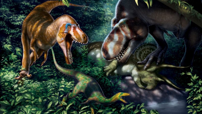 Small ‘cousins’ of T. rex may actually have been growing teenagers