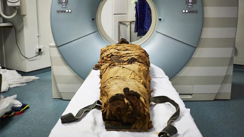 A 3-D printed vocal tract lets a mummy speak from beyond the grave ...