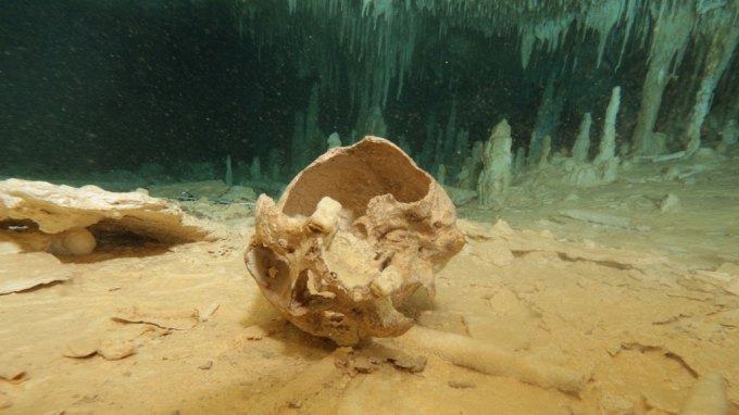 Ancient skeleton discovered in underwater cave in Mexico | Science News