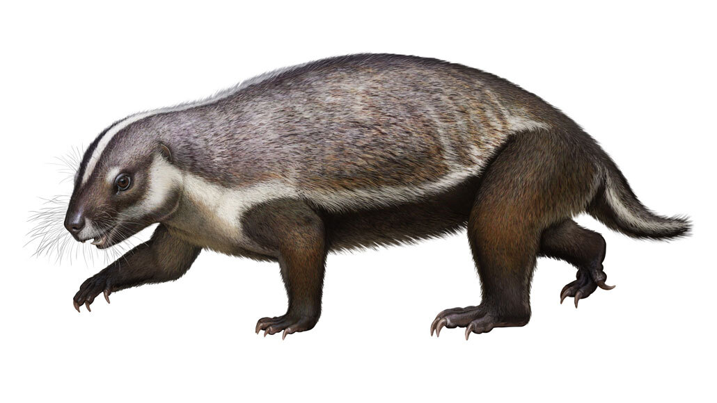 A 'crazy beast’ from the time of dinosaurs finds a home among mammals ...