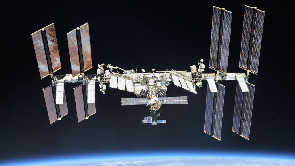 If bacteria band together, they can survive for years in space