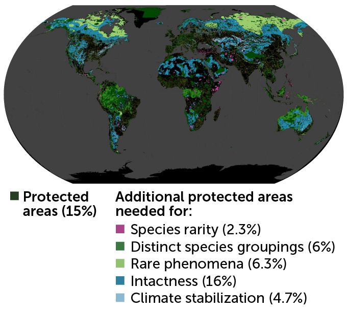 Protecting half of Earth may help solve climate change, save species ...