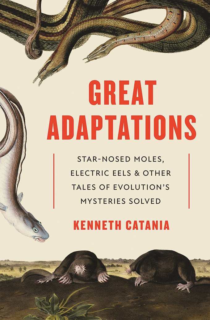 These are Science News’ favorite books of 2020 | Science News