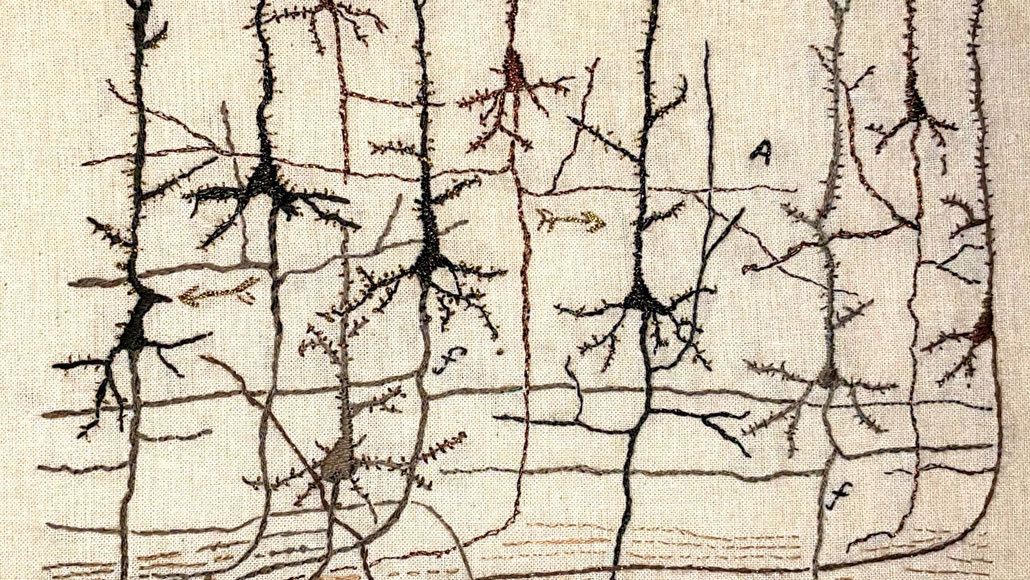 Famous brain sketches come to life again as embroideries