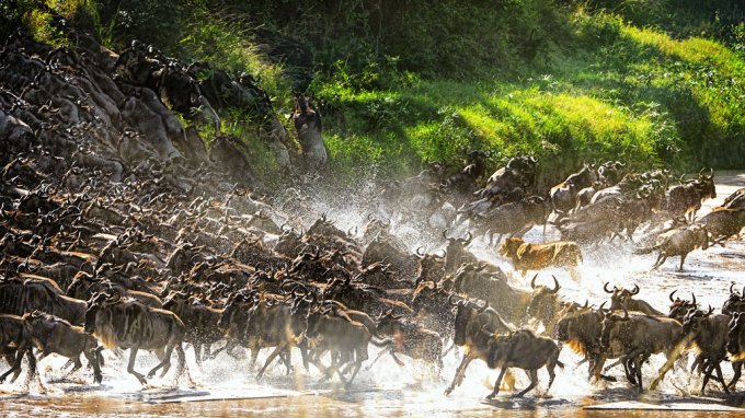 Only 3 percent of Earth’s land hasn’t been marred by humans