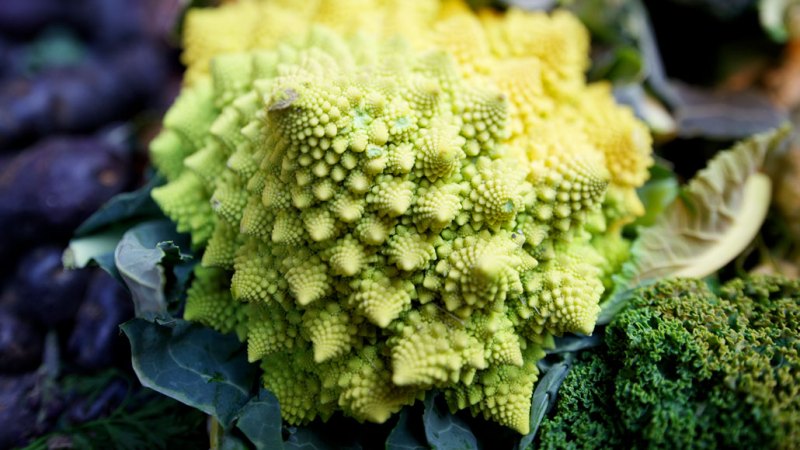 How Romanesco cauliflower forms its spiraling fractals