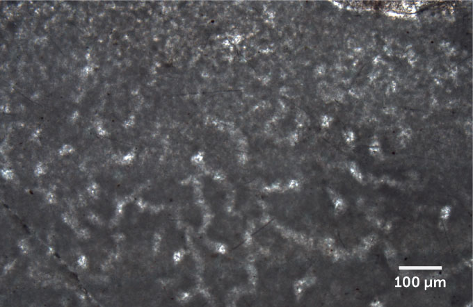 Tubes in 890-million-year-old rock may be the oldest animal fossils ...