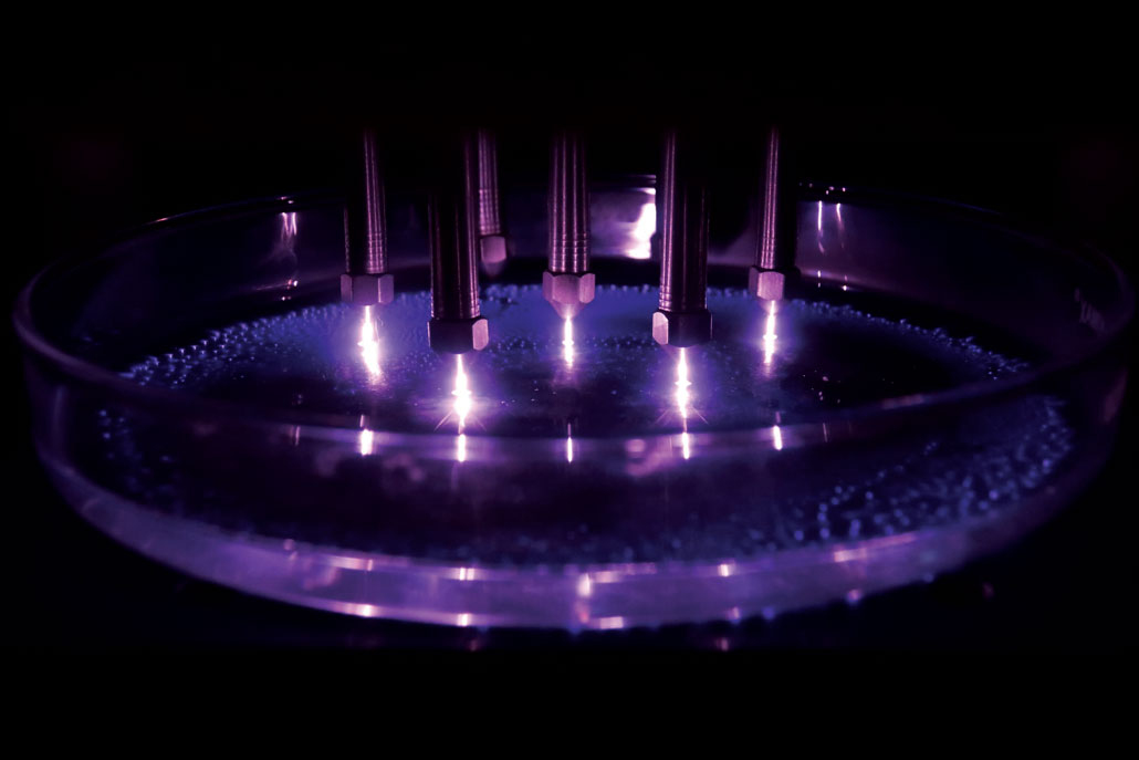 Cold plasma could transform the sustainable farms of the future