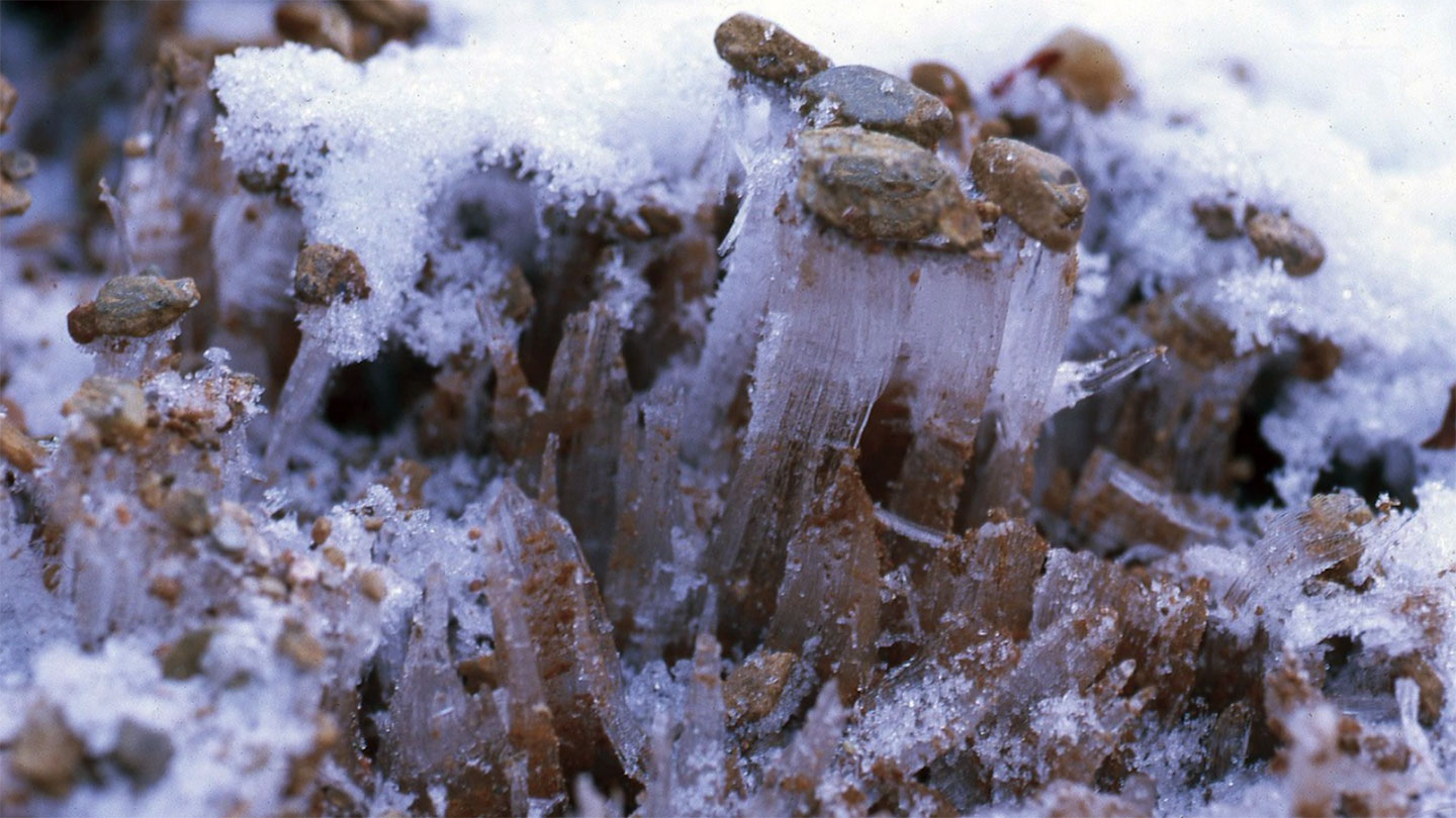 Here’s how ice needles sculpt patterns into cold, rocky landscapes