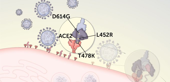 Why the coronavirus's delta variant dominated 2021