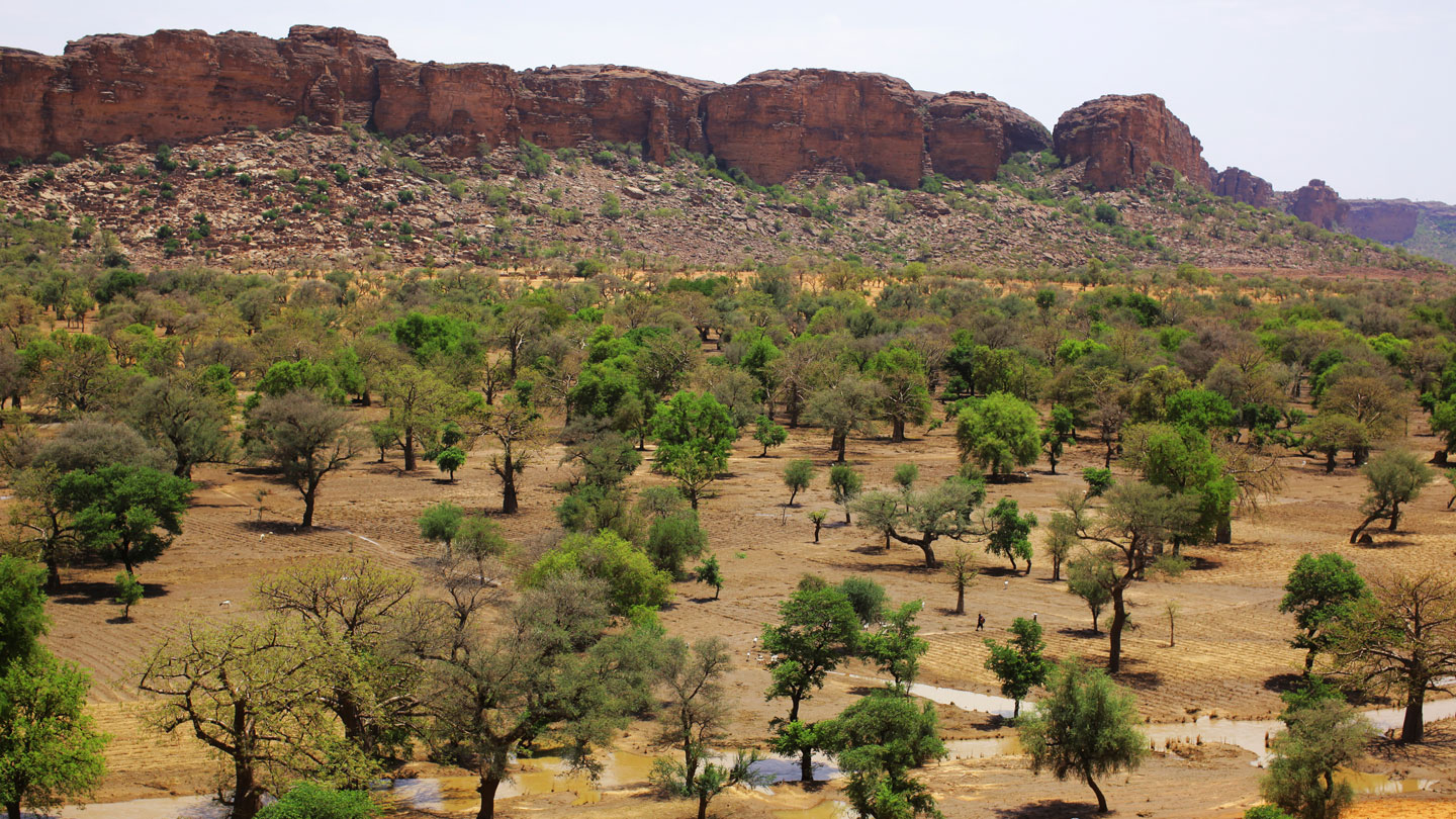 Africa’s ‘Great Green Wall’ could have far-reaching climate effects