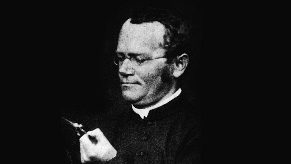 How we got from Gregor Mendel's pea plants to modern genetics