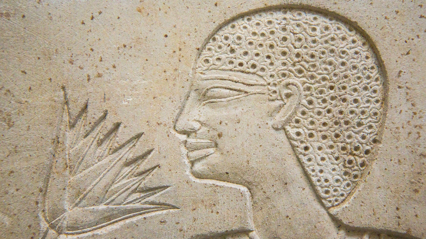 Ancient smells are wafting out of artifacts and old texts | Science News