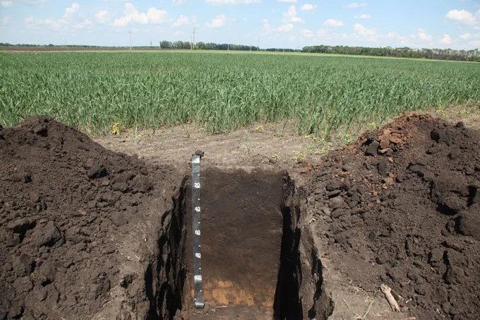 Russia’s invasion could cause long-term harm to Ukraine’s prized soil