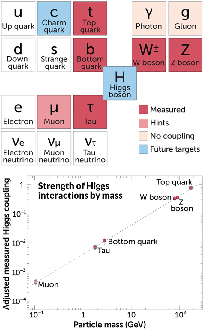 How physicists are probing the Higgs boson 10 years after its discovery