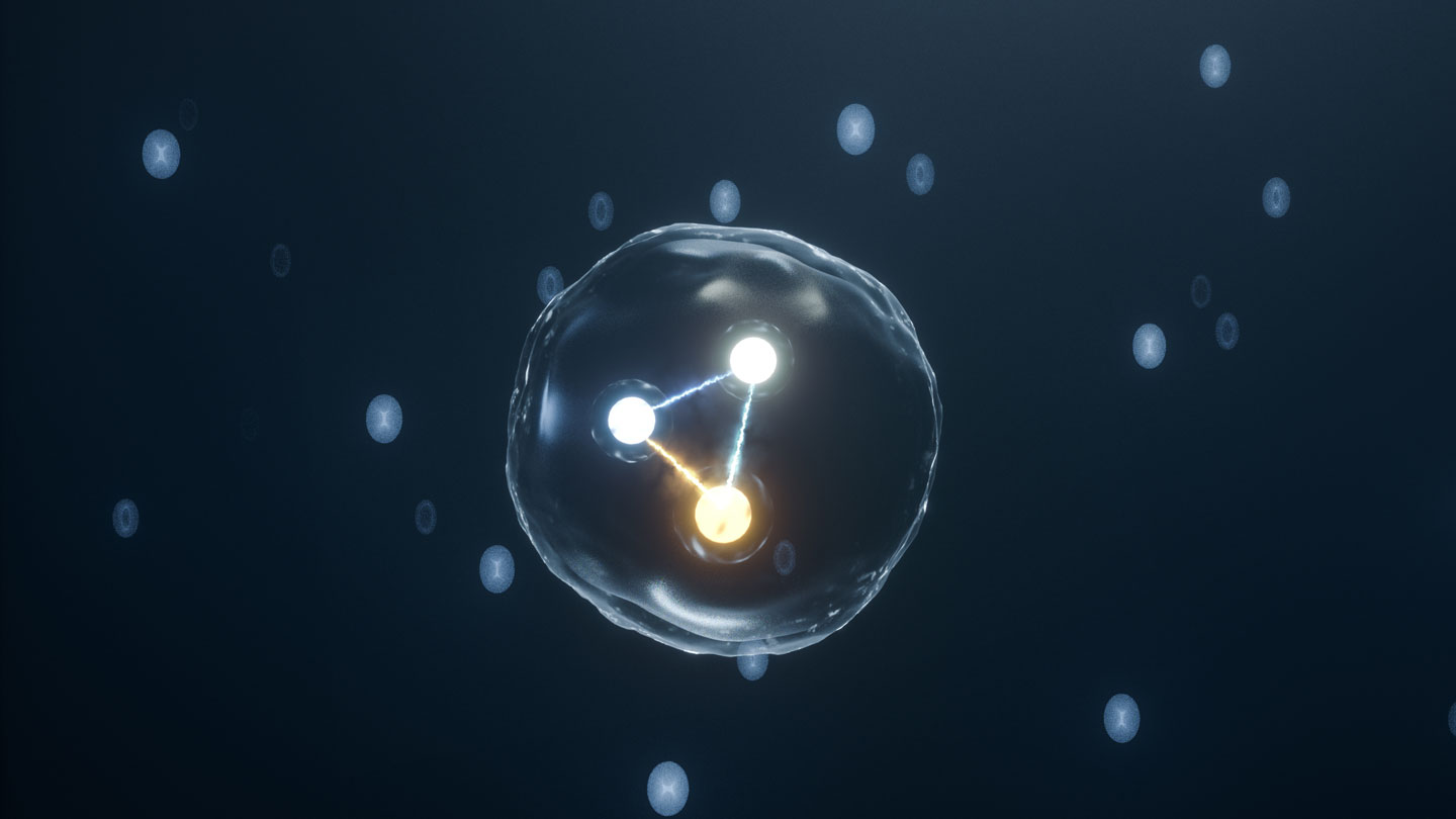 Protons contain intrinsic charm quarks, a new study suggests