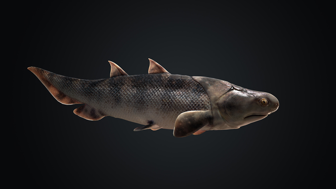 Ancient fish highlight the strangeness of our vertebrate ancestors ...