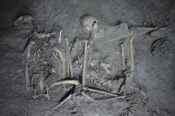 1,700-year-old remains belonged to the Americas' first captive monkey