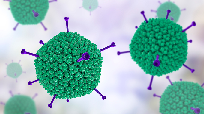 Viruses other than the coronavirus made headlines in 2022