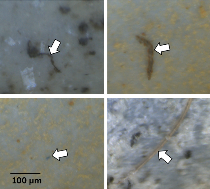 Microplastics are in our bodies. Here's why we don't know the health risks