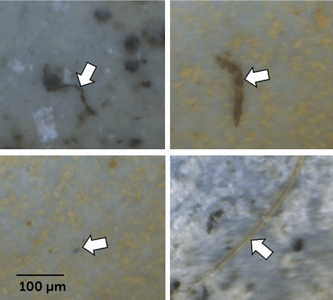 Microplastics are in our bodies. Here's why we don't know the health risks