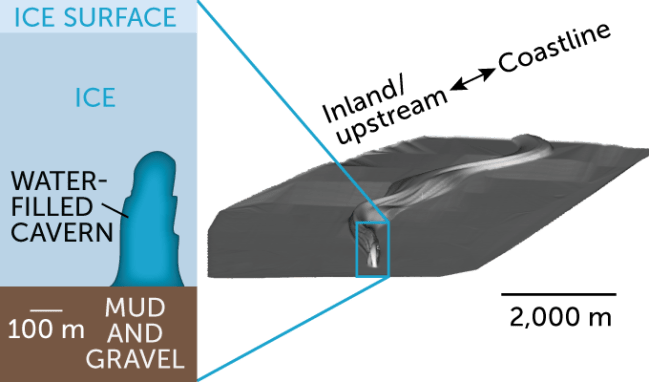A massive cavern beneath a West Antarctic glacier is teeming with life