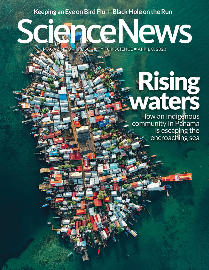 Readers ask about AI ethics, monkey tool use and more