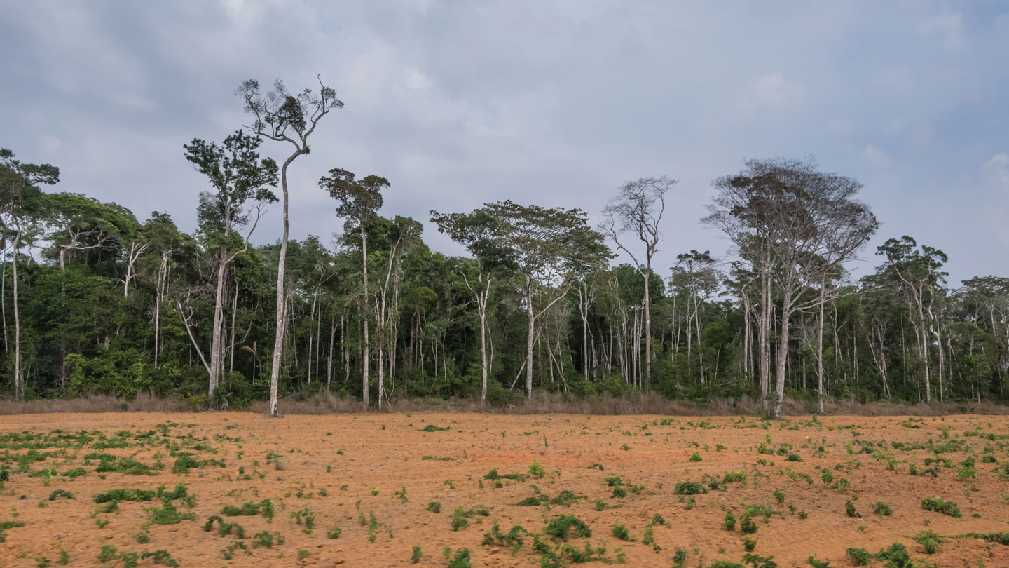The Amazon might not have a 'tipping point.' But it's still in trouble