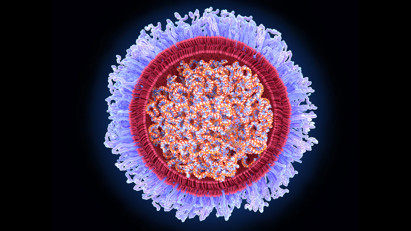 Early mRNA research that led to COVID-19 vaccines wins 2023 medicine ...