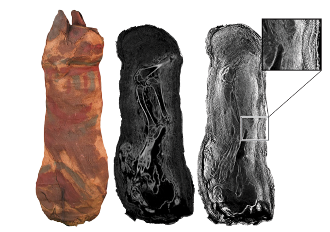 How neutron imaging uncovers hidden secrets of fossils and artifacts