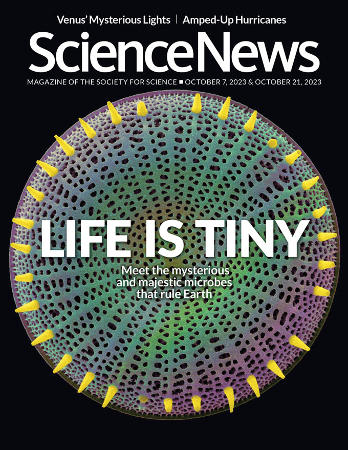 Readers react to mysterious protists, bird brains, more