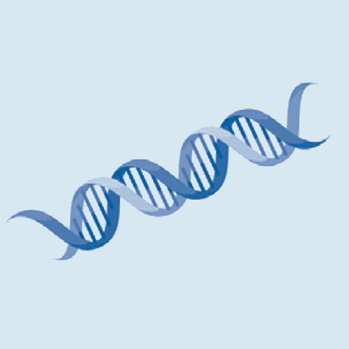 Is aging without illness possible?
