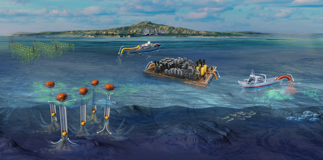 How ocean carbon dioxide removal could slow climate change