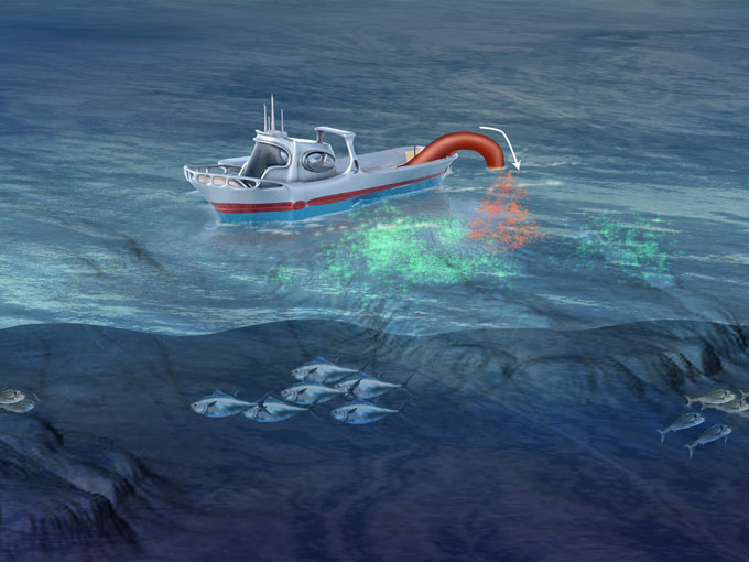How ocean carbon dioxide removal could slow climate change
