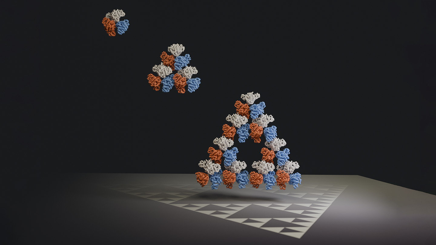 A ‘vampire einstein’ tile outdoes mathematicians’ latest feat