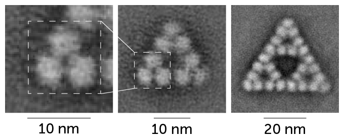 This naturally occurring molecule forms a fractal