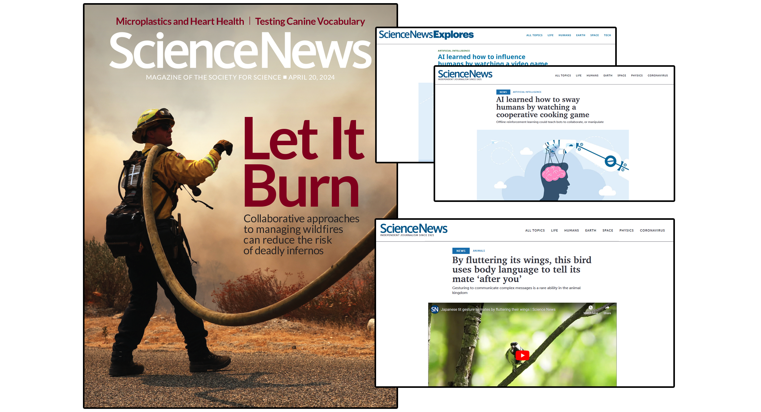 AI Influence and Organism Observations | Science News Learning