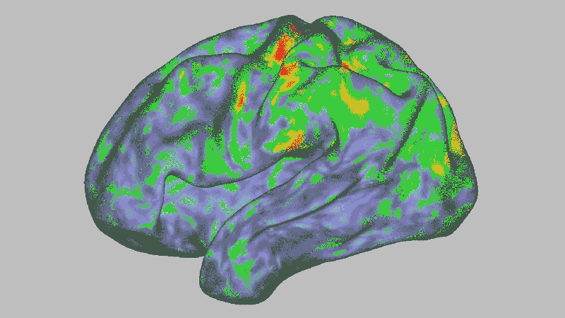 The mushrooming of psilocybin innovation | Science News