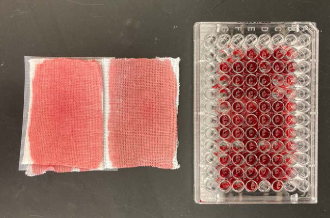 A new algae-based menstrual pad could stop leaks