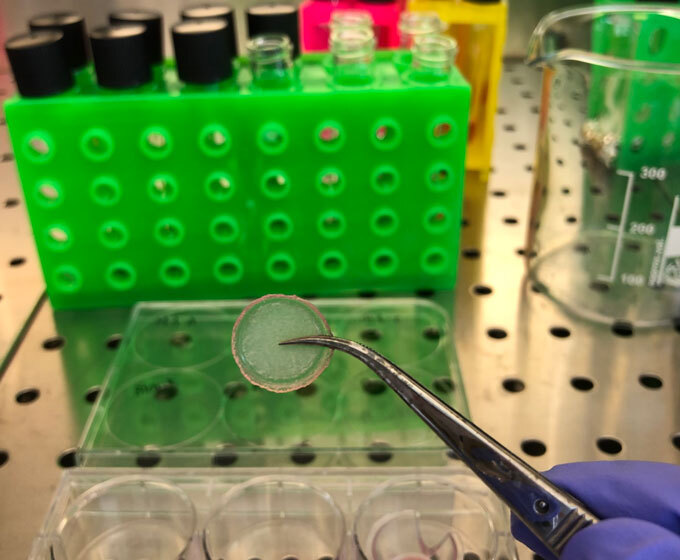 Some ‘forever chemicals’ may be absorbed through our skin