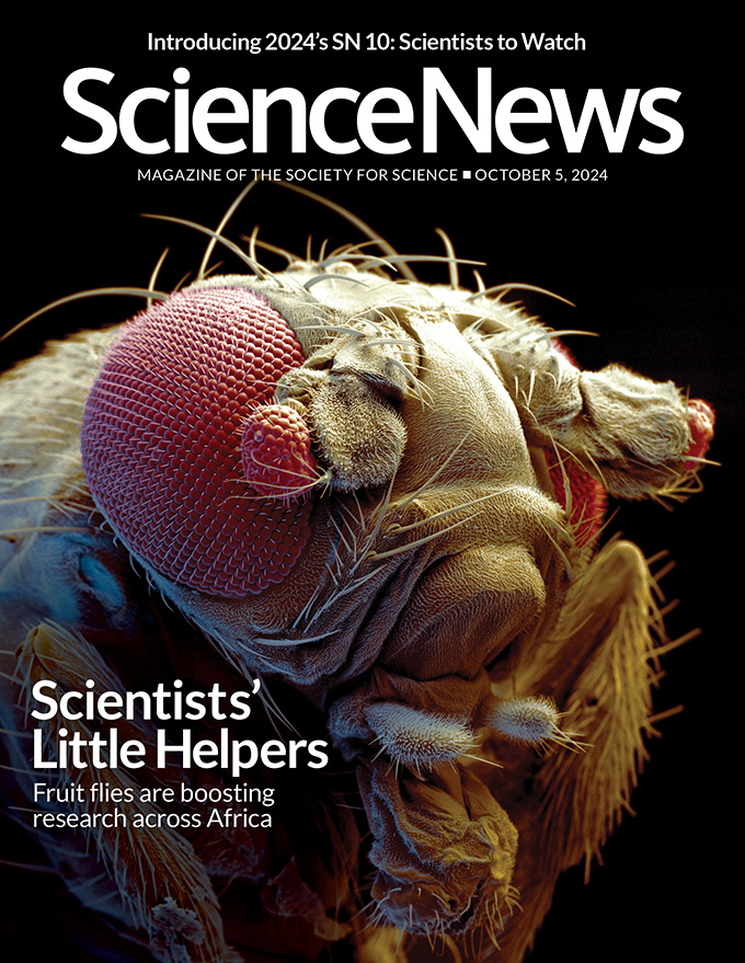 October 5, 2024 | Science News
