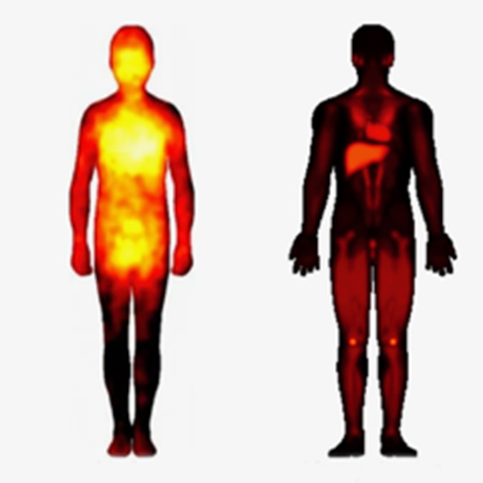 Mapping emotions in the body | Science News Learning